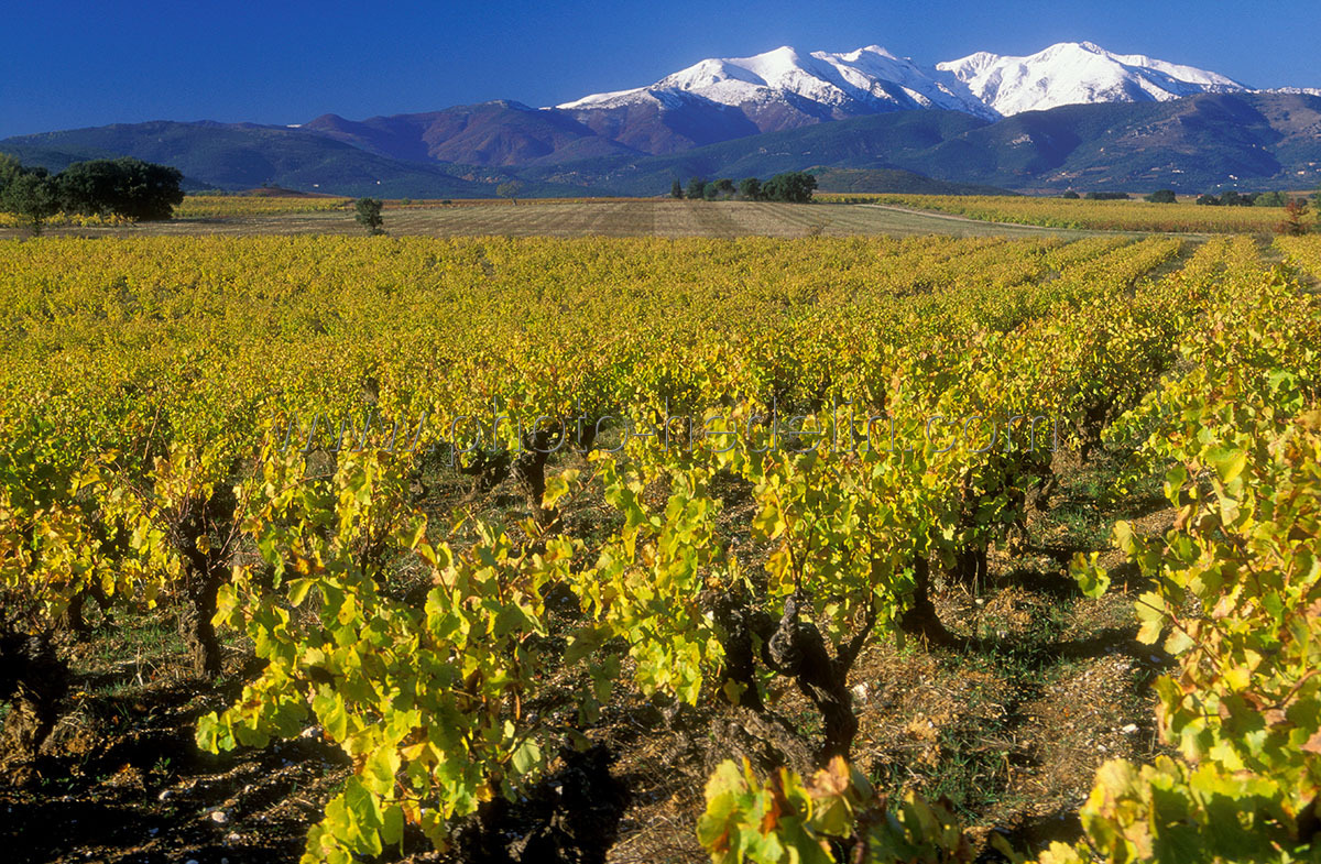 Photohèque Frédéric Hédelin